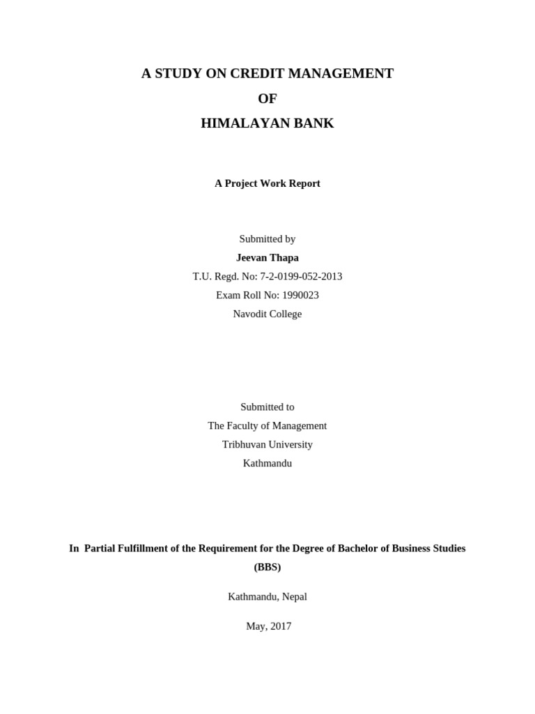 A Study On Credit Management | PDF