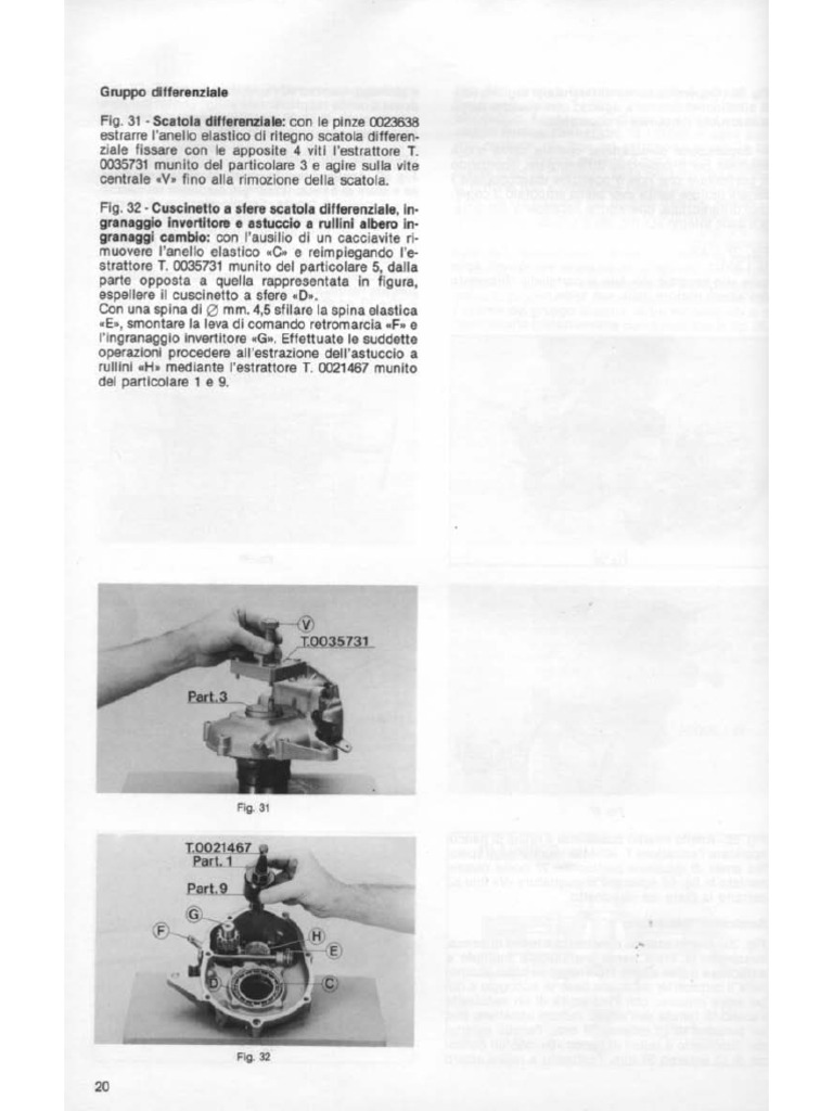 Manuale Ape TM 703 | PDF