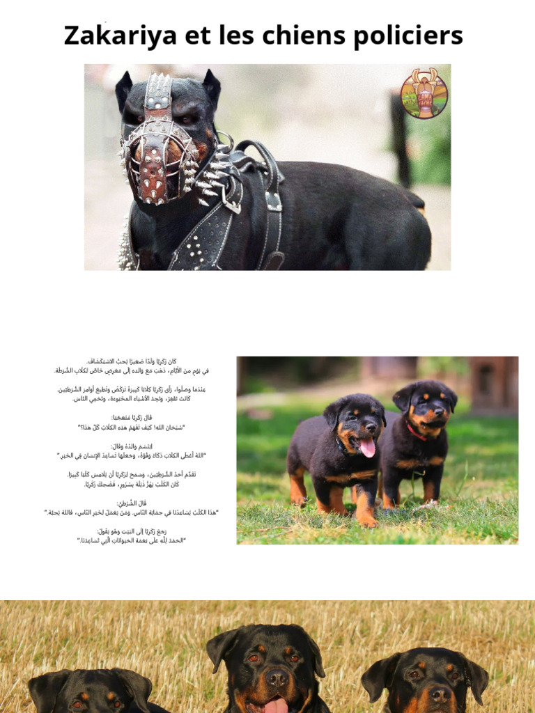 Zakariya et les chiens policiers | PDF