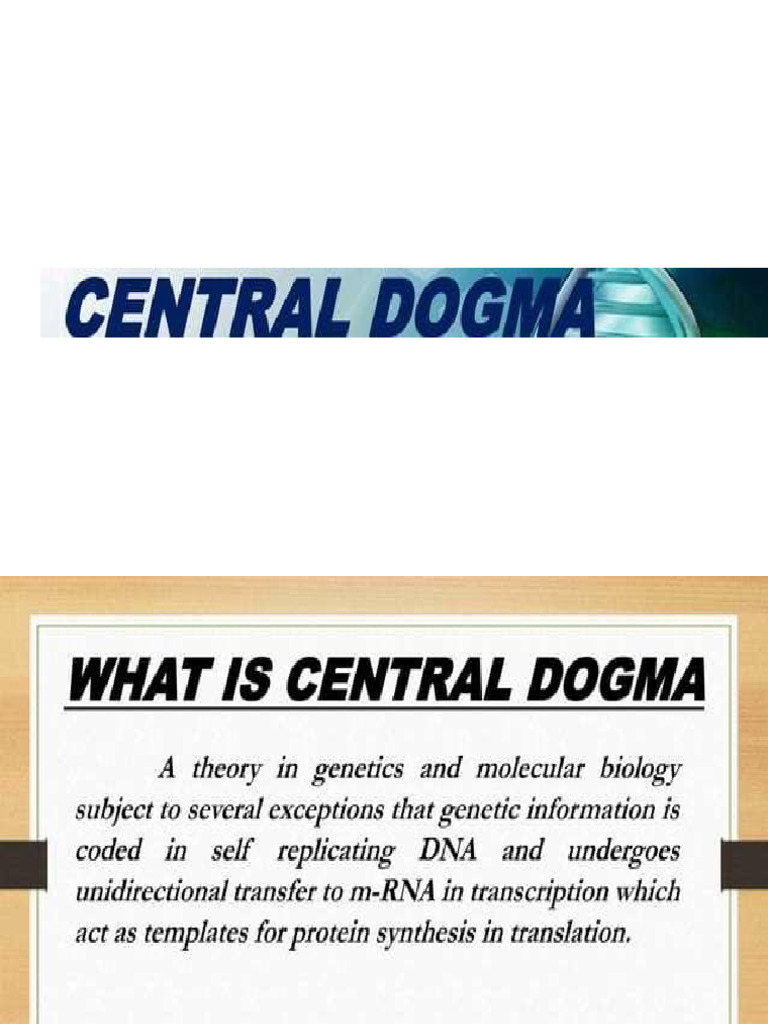 Central Dogma Transcription Translation | PDF