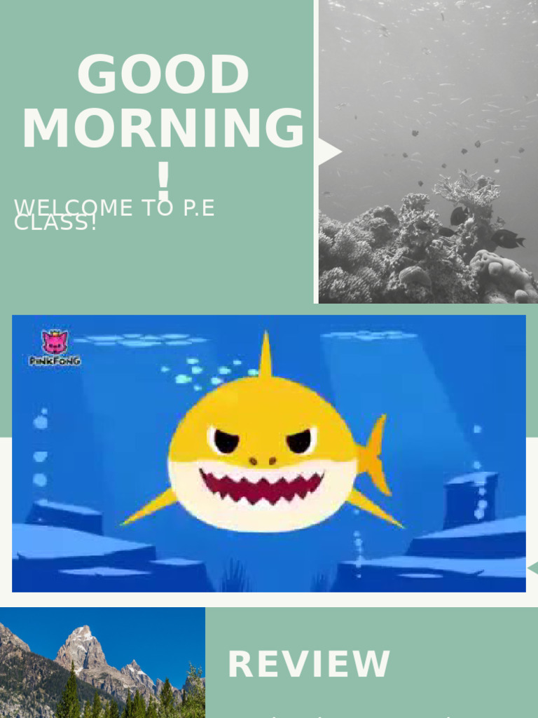 Aquatic Activities and Benefits Guide | PDF | Underwater Diving | Scuba ...