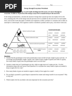 Ecological Pyramids Data Collection Worksheet | PDF | Biomass (Ecology ...
