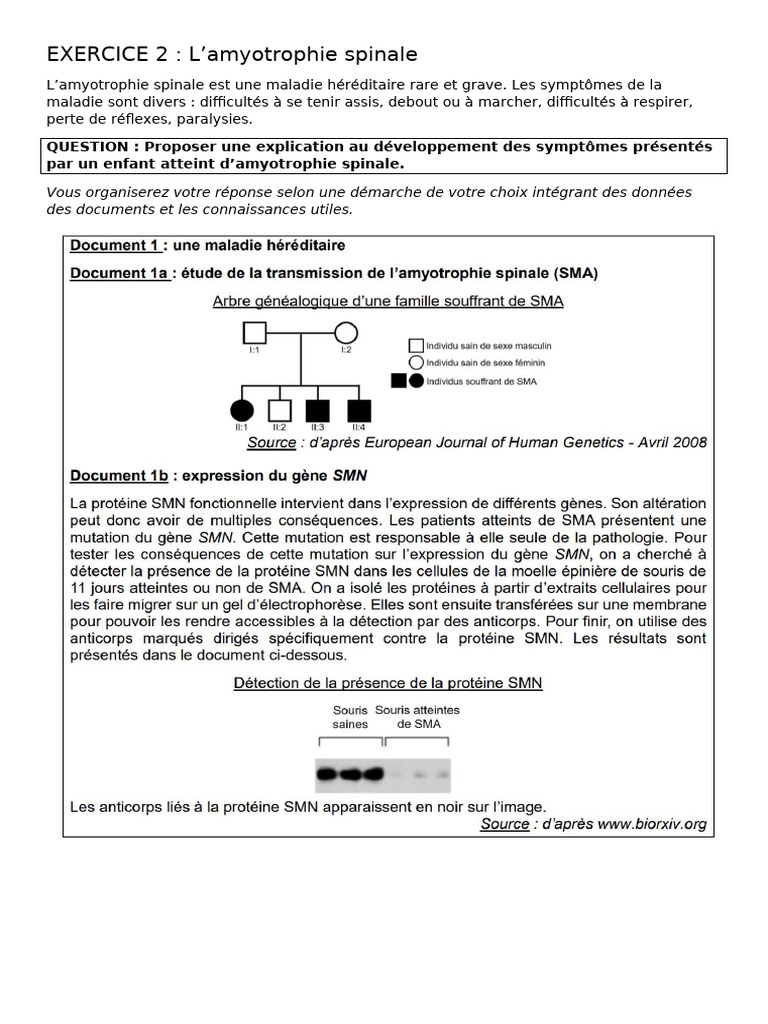 Symptômes de l'amyotrophie spinale | PDF