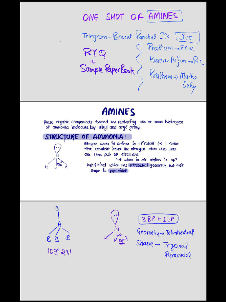 Amines | PDF