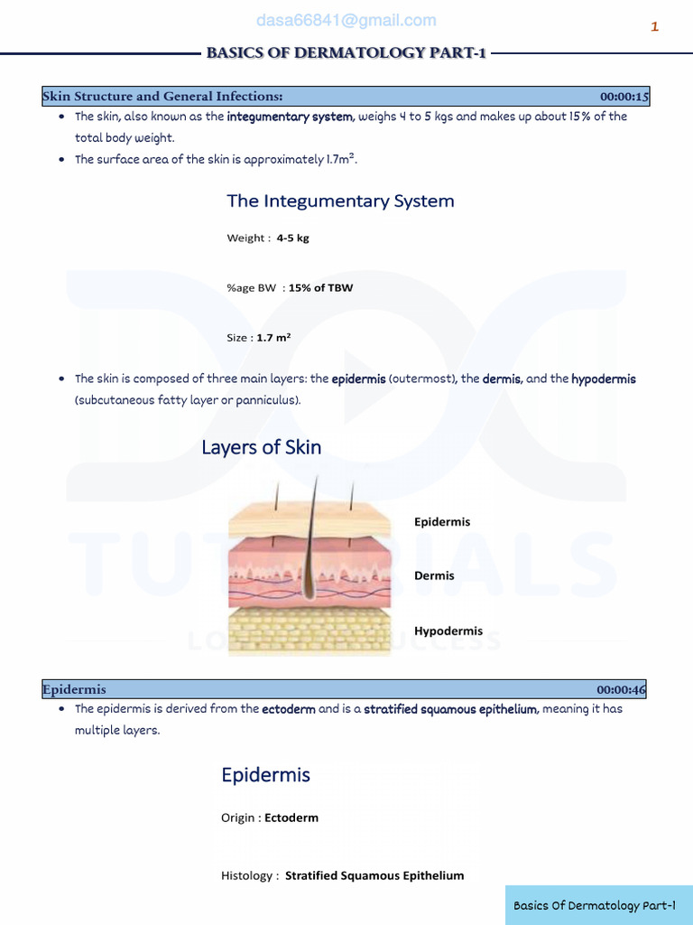Dermatology Basics: Skin Structure & Lesions | PDF | Epidermis | Hair Loss