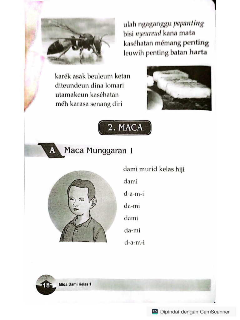 B. Sunda | PDF