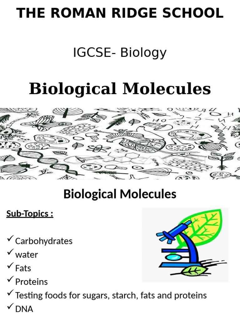 Understanding Biological Molecules | PDF | Carbohydrates | Dna