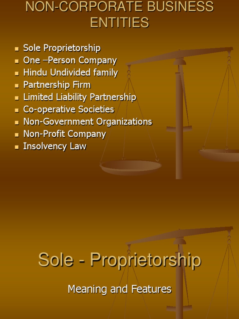 Non-Corporate Business Entities | PDF | Partnership | Sole Proprietorship