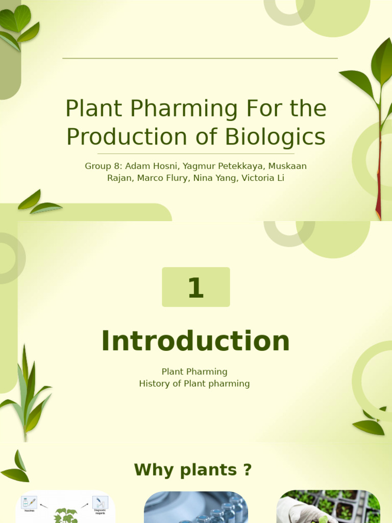 Plant Pharming for Biologics Production | PDF | Vaccines | Molecular ...