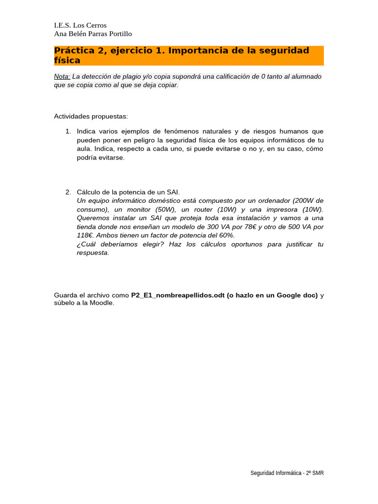 P2 E1 Importancia Seg Fisica | PDF