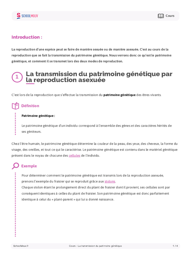 3 La Transmission Du Patrimoine Genetique Fiche de Cours | PDF | la ...