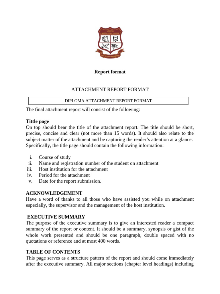 Attachment Report Format | PDF