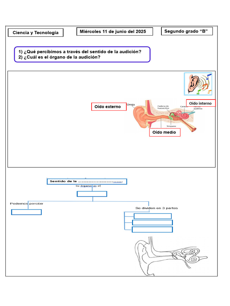 El Sentido de La Audición. | PDF