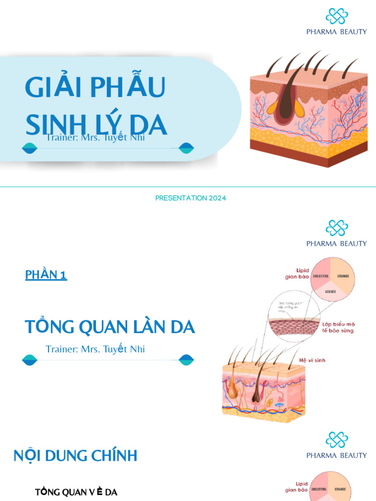 Giai Phau Sinh Ly Da b5-6 - Mrs - Nhi - Chuoi 48 Bai | PDF