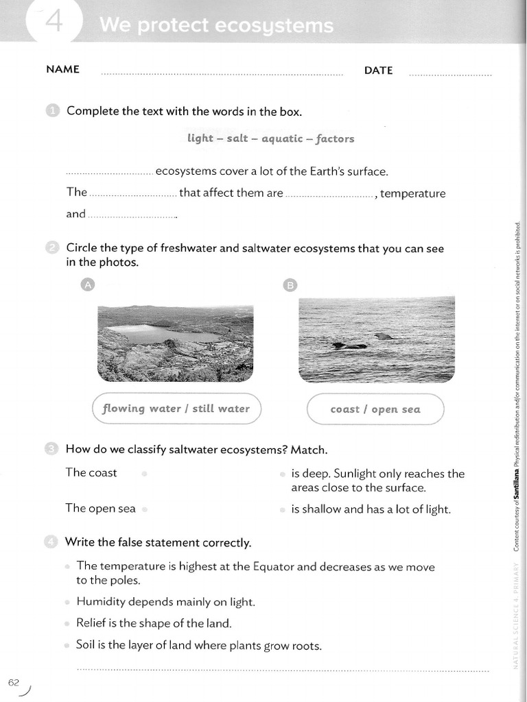Natural Science Year 4 - UNIT 4 - Exam (B) | PDF