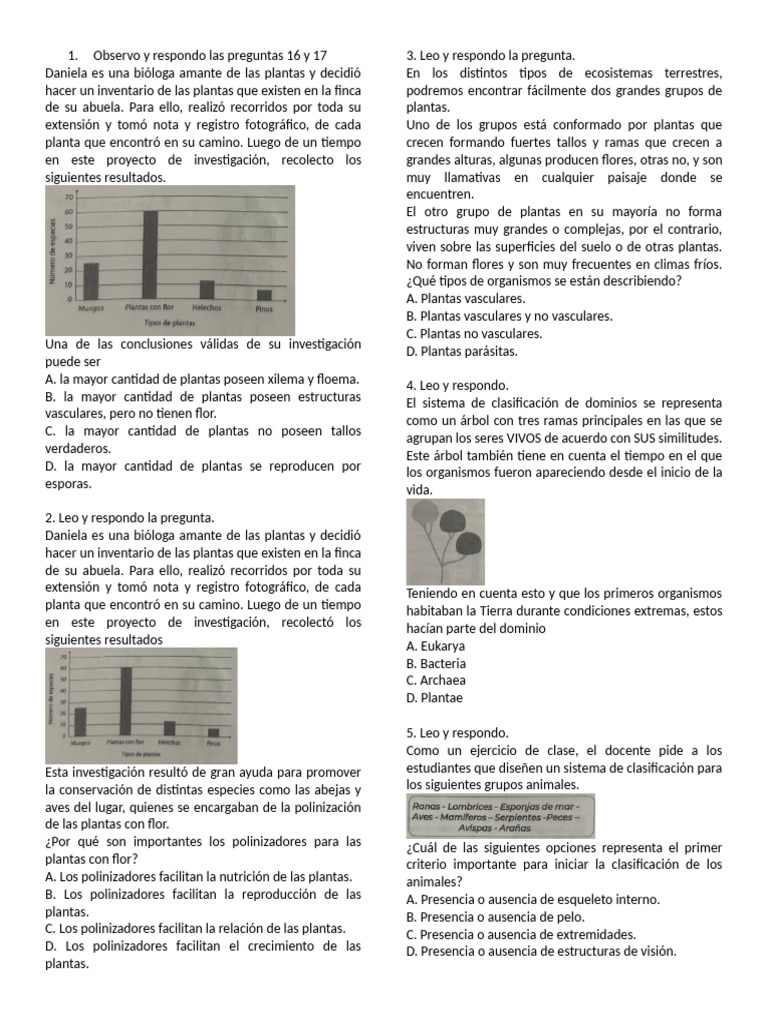 Bimestral Naturales 3 Periodo | PDF | Química | Plantas