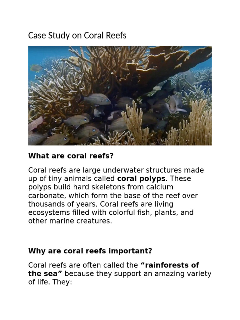 Case Study On Coral Reefs | PDF