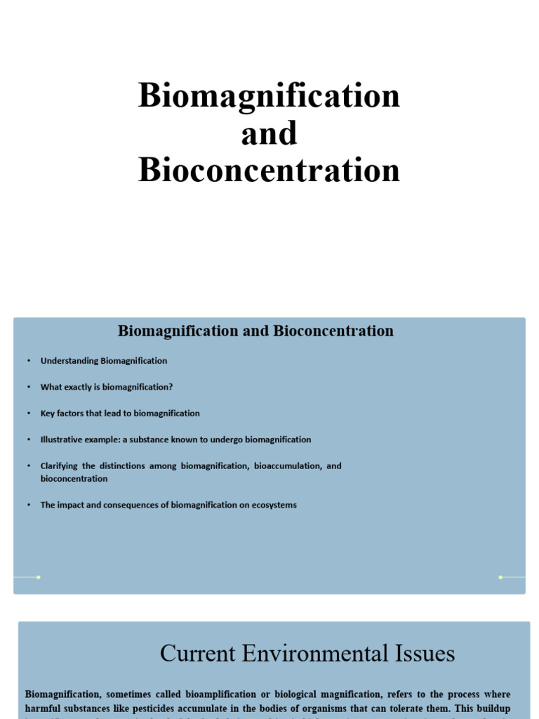 Understanding Biomagnification Effects | PDF | Environmental Science ...