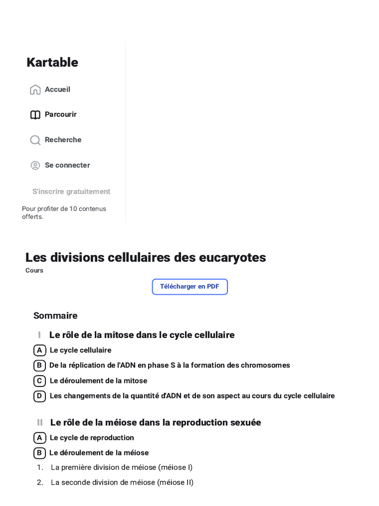 Divisions cellulaires : mitose et méiose | PDF | Mitose | Chromosome