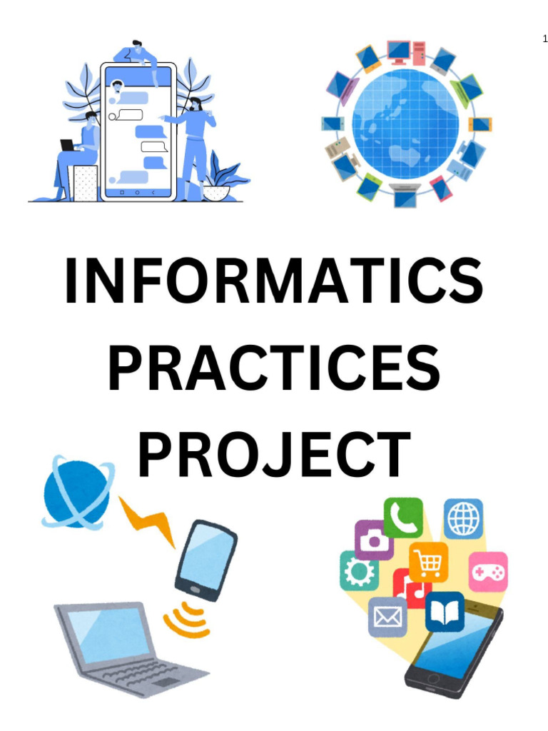 Informatics Practices Project | PDF | Microsoft Excel | Information