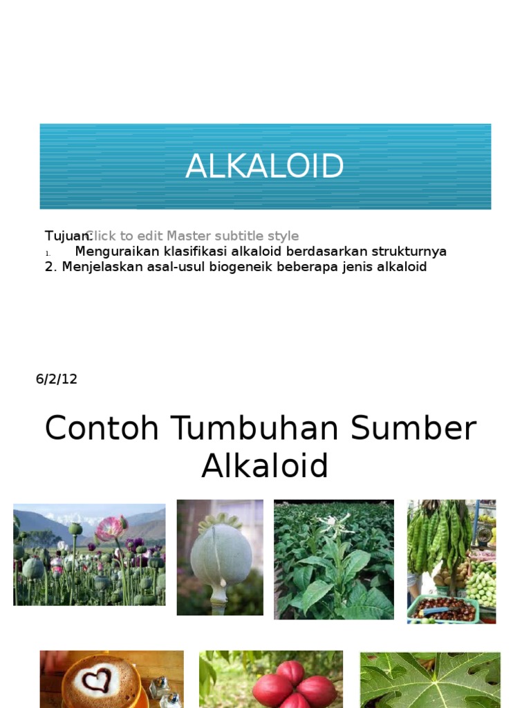 Alkaloid | PDF