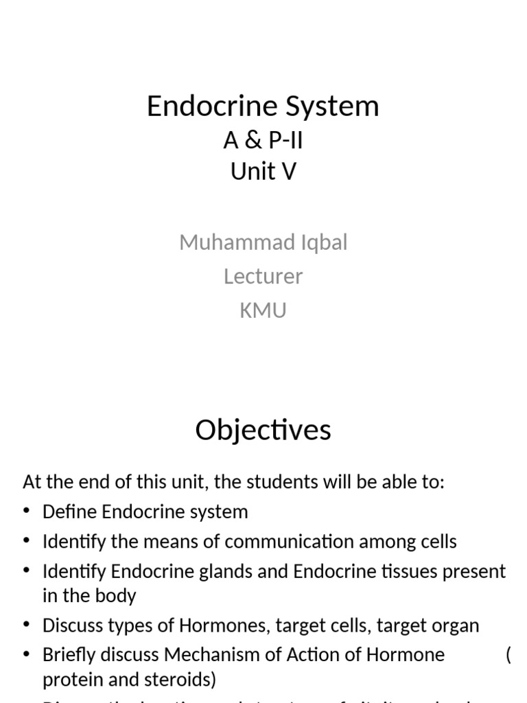 Endocrine System Unit V | PDF | Pituitary Gland | Adrenal Gland