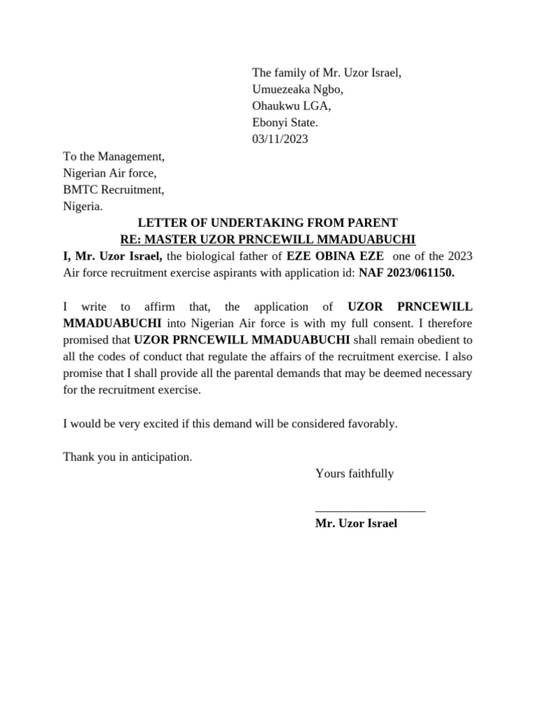 Letter of Undertaking | PDF