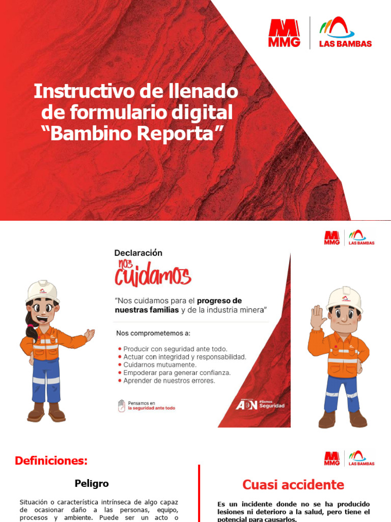 Instructivo para Llenado de Formulario Digital - Bambino Reporta | PDF