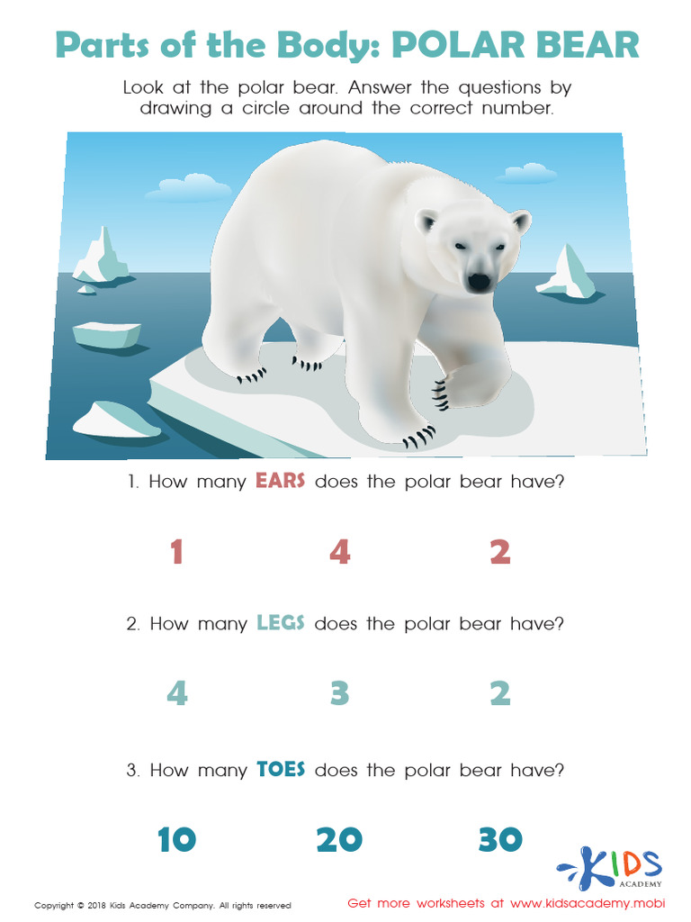 Polar Bear Body Parts Worksheet | PDF