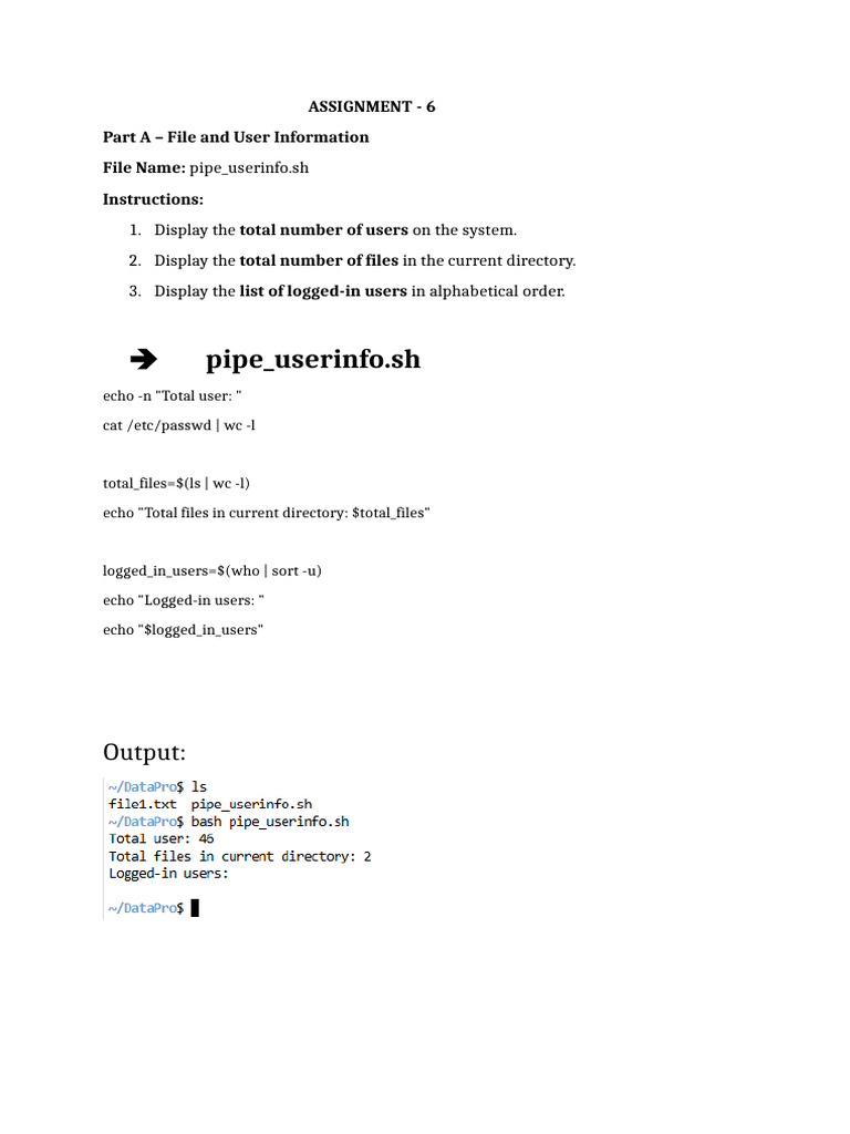 Assignment6 (A) Pipe Userinfo | PDF