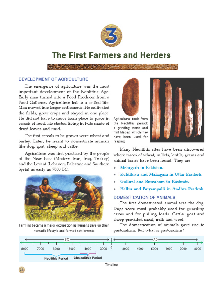 Class VI SST History Lesson 3 | PDF | Neolithic | Wheel