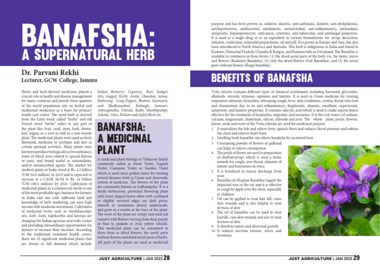 005 Banafsha | PDF | Plants