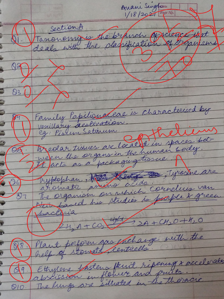 Bio Mock Test - Avani | PDF