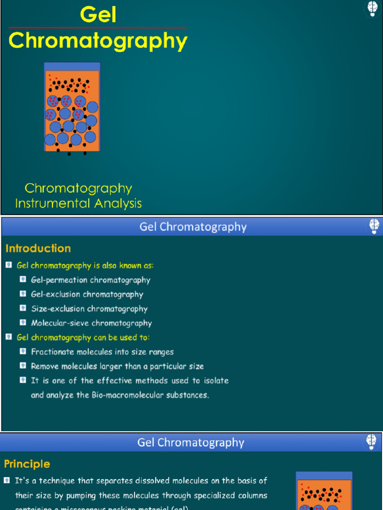 Pdf24 Converted (1) | PDF