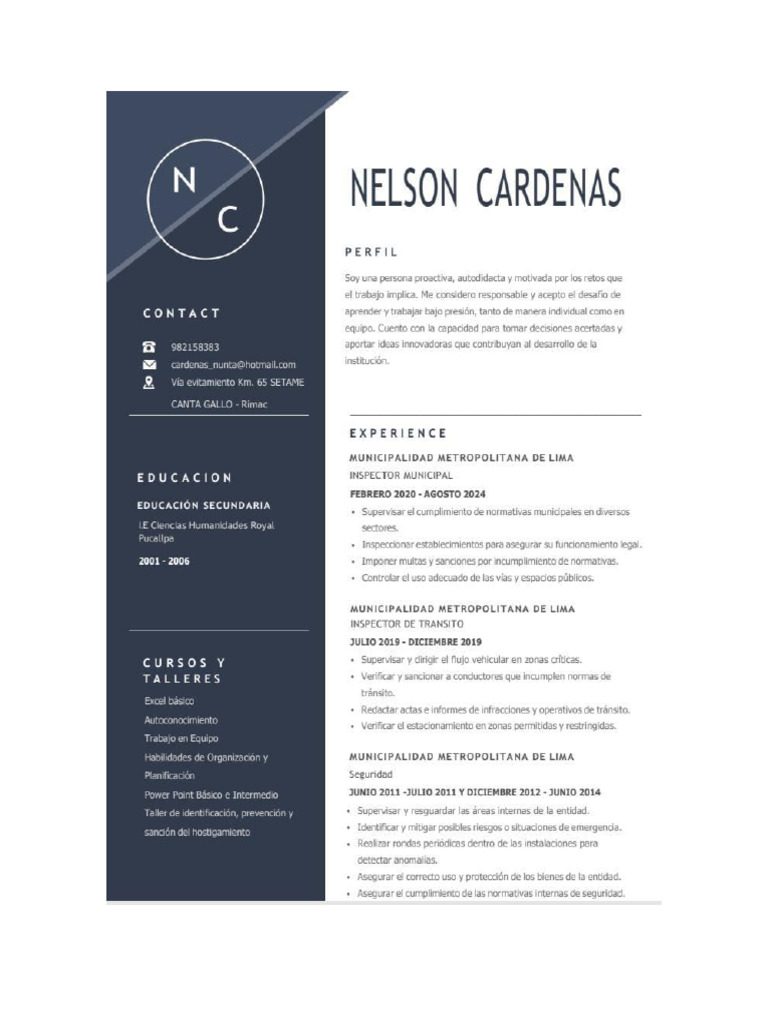 Nelson CV 2025 | PDF