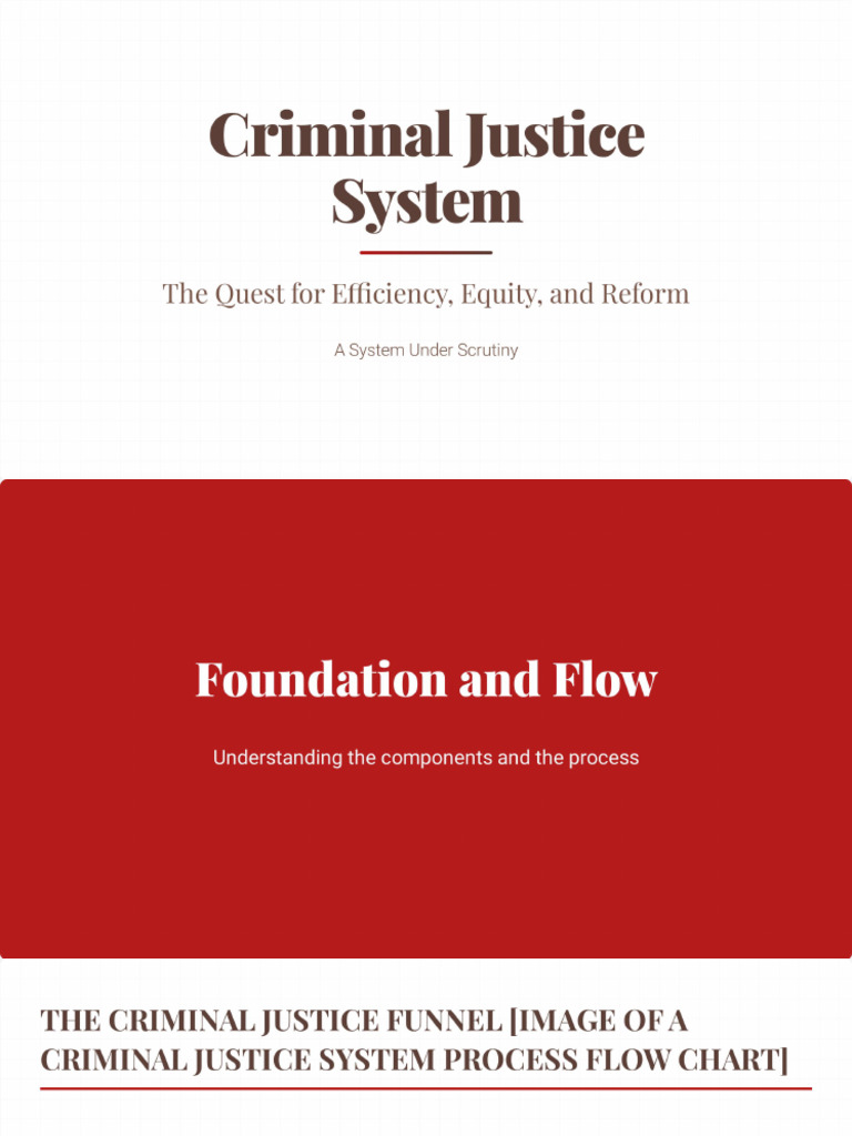 Criminal Justice System Reform | PDF