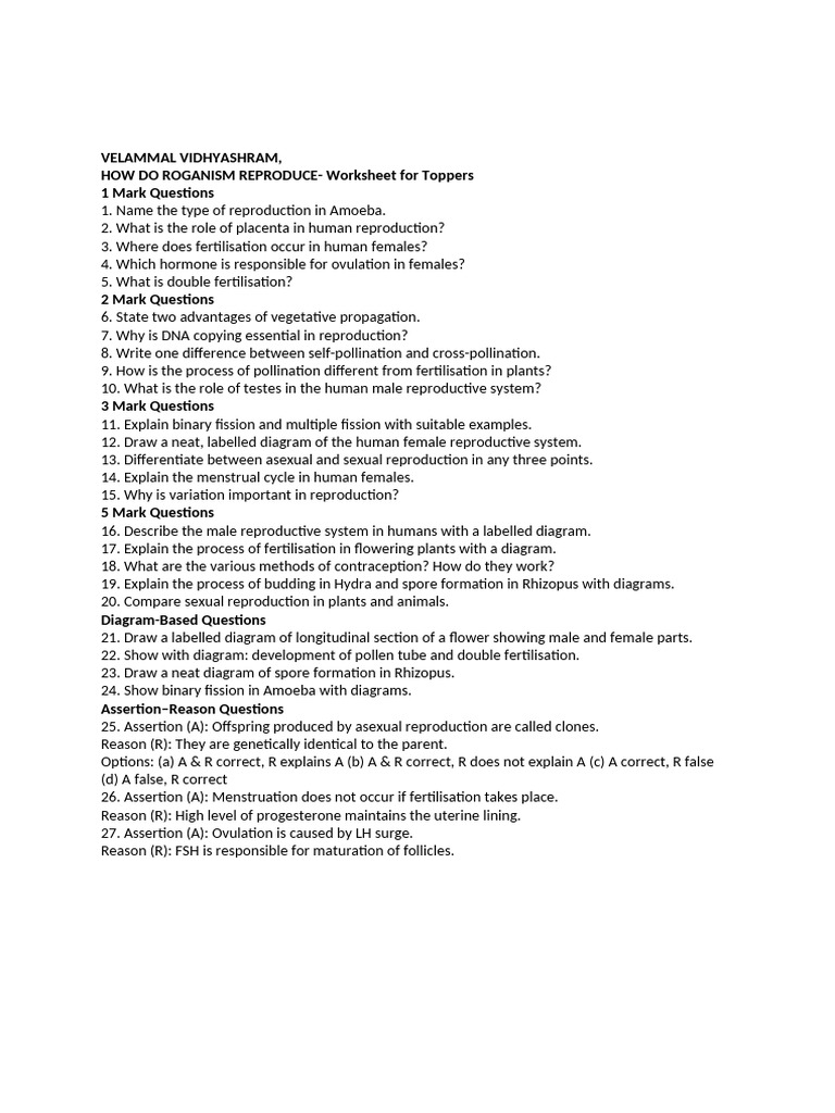 H.O.R Toppers W.S | PDF