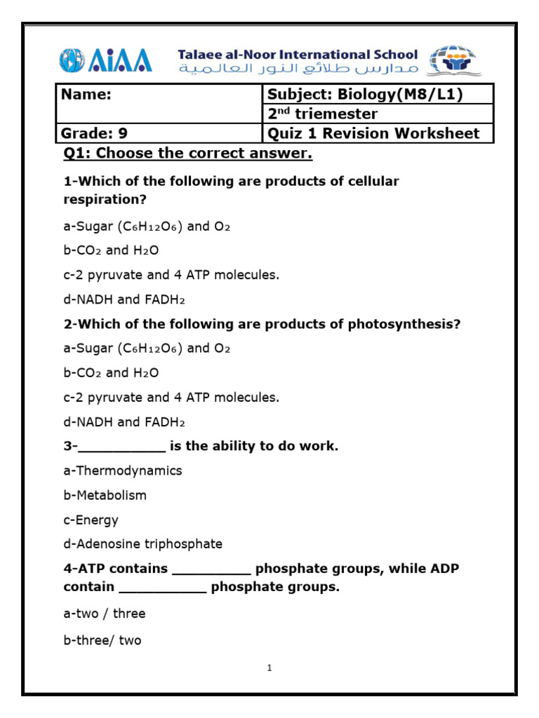 GR 9 Biology 2nd Trimester Worksheet 1 | PDF | Adenosine Triphosphate ...