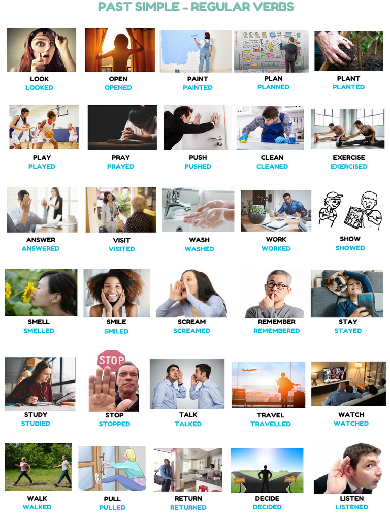Past Simple Regular and Irregular Verbs | PDF