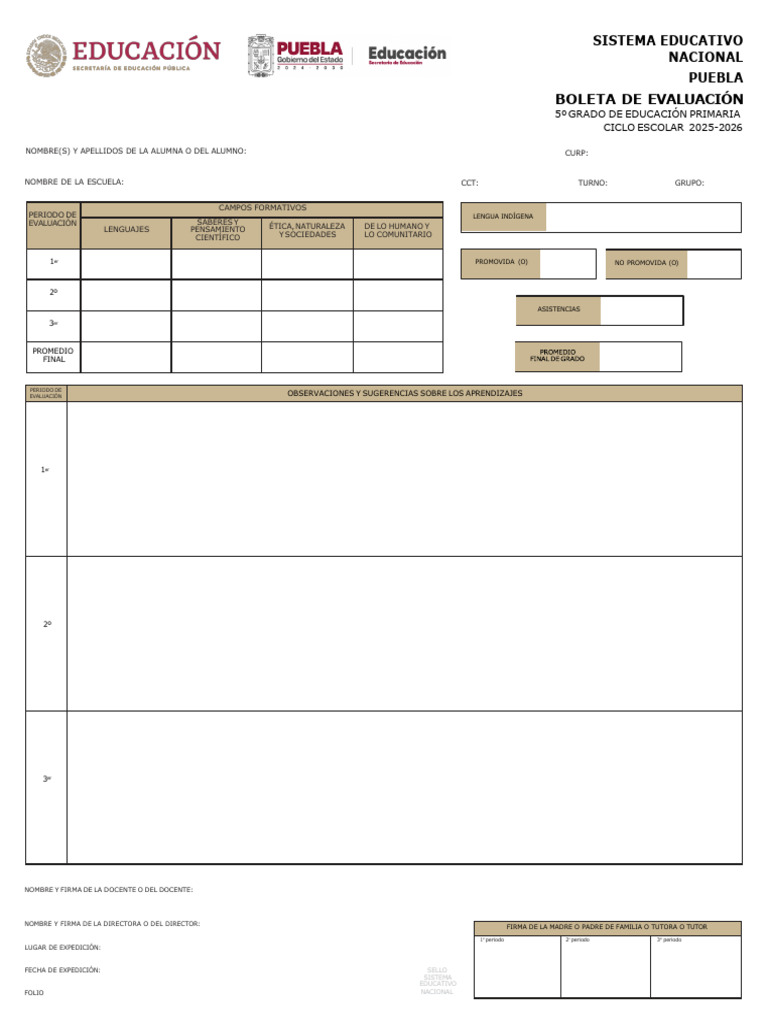 Boleta 5to Primaria | PDF | Aprendizaje | Enseñando