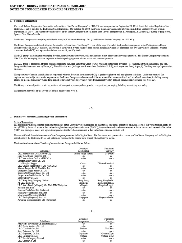 2024 Urc Annual Report | PDF | Goodwill (Accounting) | Equity (Finance)