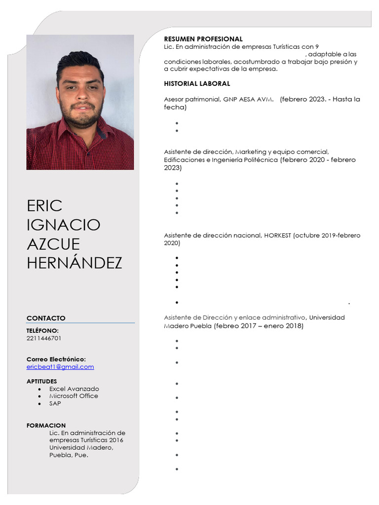 Resumen Profesional CV Eric (1) - 1 | PDF | Logística | Negocios económicos