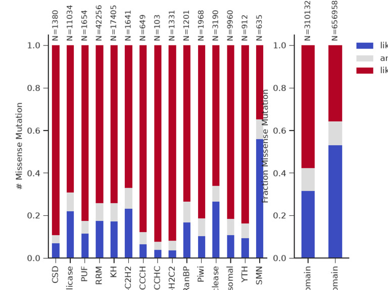 Missense Mutation Analysis Data | PDF