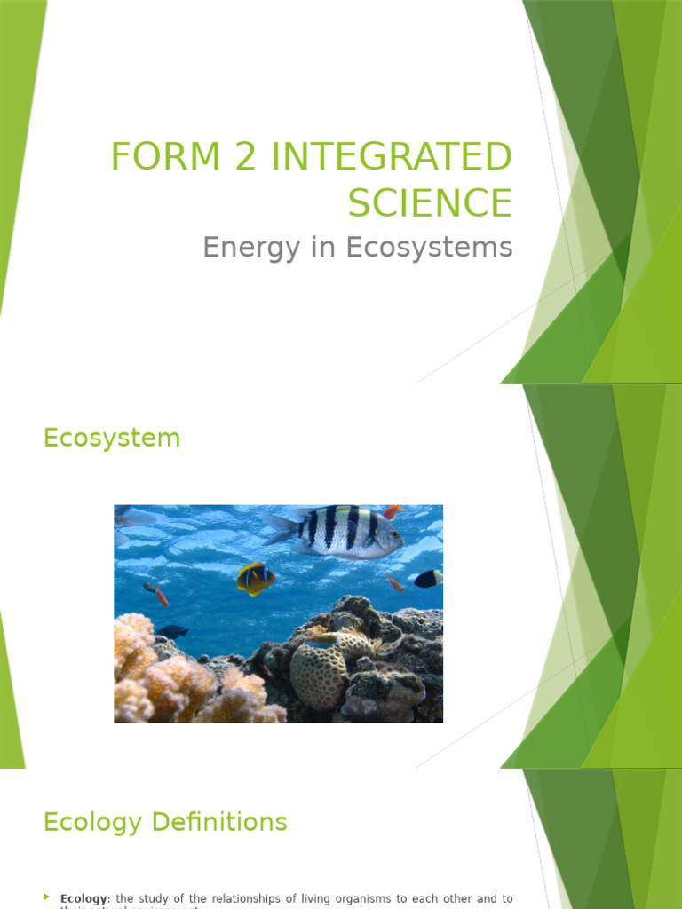 Form 2 Integrated Science Energy in Ecosystems | PDF | Foods | Cellular ...
