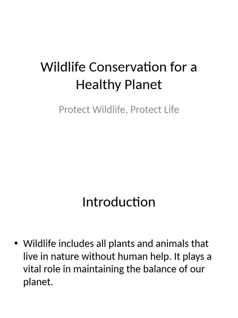 Wildlife Conservation for a Healthy Planet | PDF
