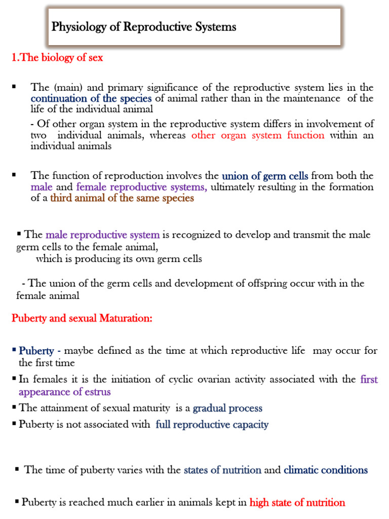 Reproductive System Physiology Overview | PDF | Testicle | Ovary