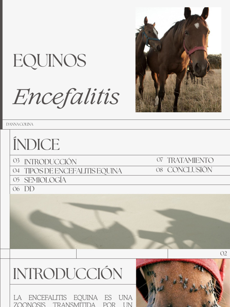 Encefalitis Equina | PDF | Enfermedades y trastornos | Especialidades ...