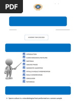 DriveWindow Light 2 User's Guide | PDF | Online And Offline | Microsoft ...