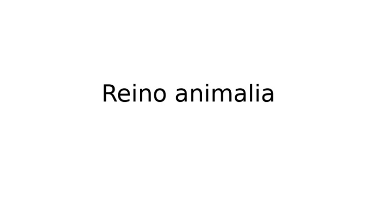 Reino animalia | PDF