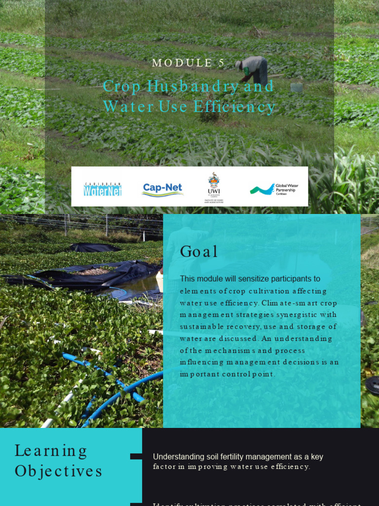 Module-5-Crop-Husbandry-and-Water-Use-Efficiency- | PDF | Soil | Tillage